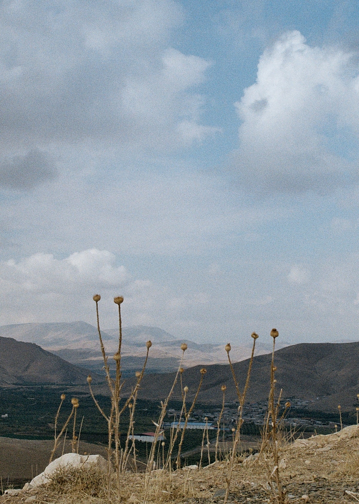 EINSTOFFEN x Free the Bees